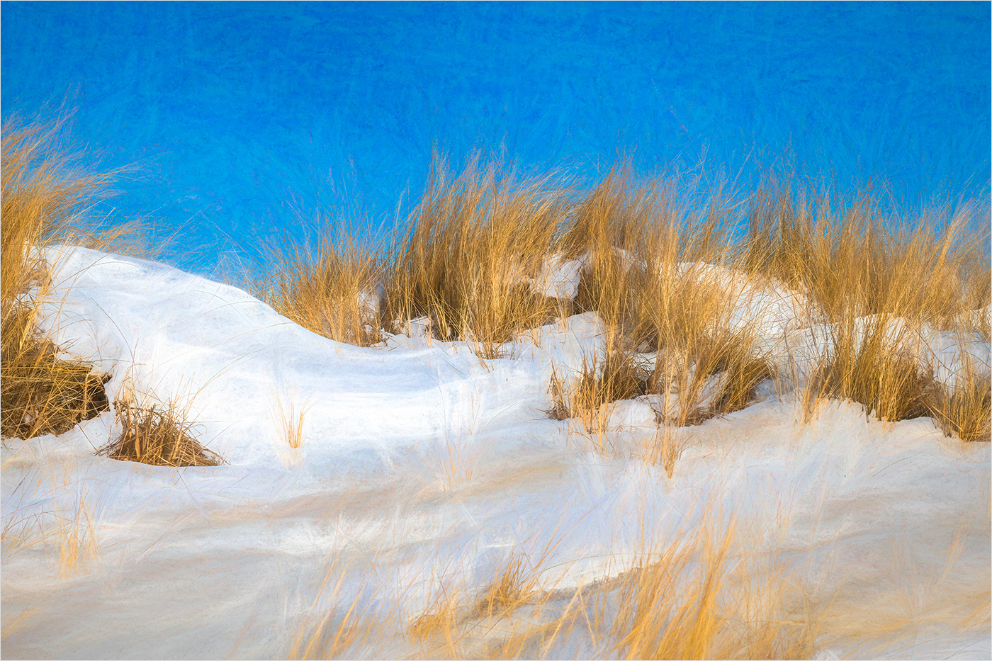 North Haven Camera Club – For those who are passionate about photography